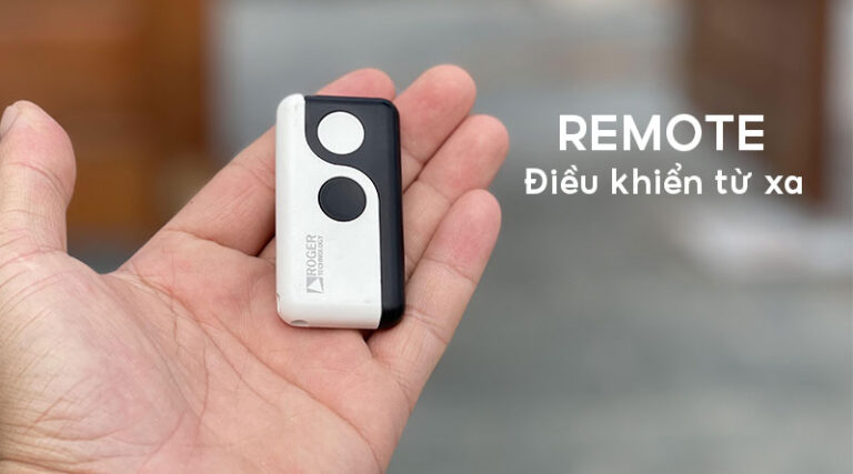 Motor cánh tay đòn Roger MONOS 4